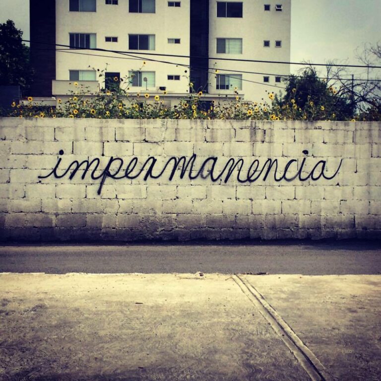 Impermanencia: inicios y finales